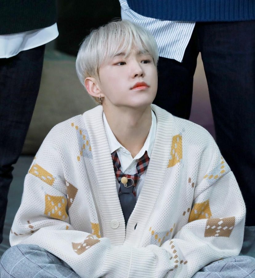 Veste Tricotée Vintage Cardigan à motifs carrés Hoshi Seventeen Kpop ...